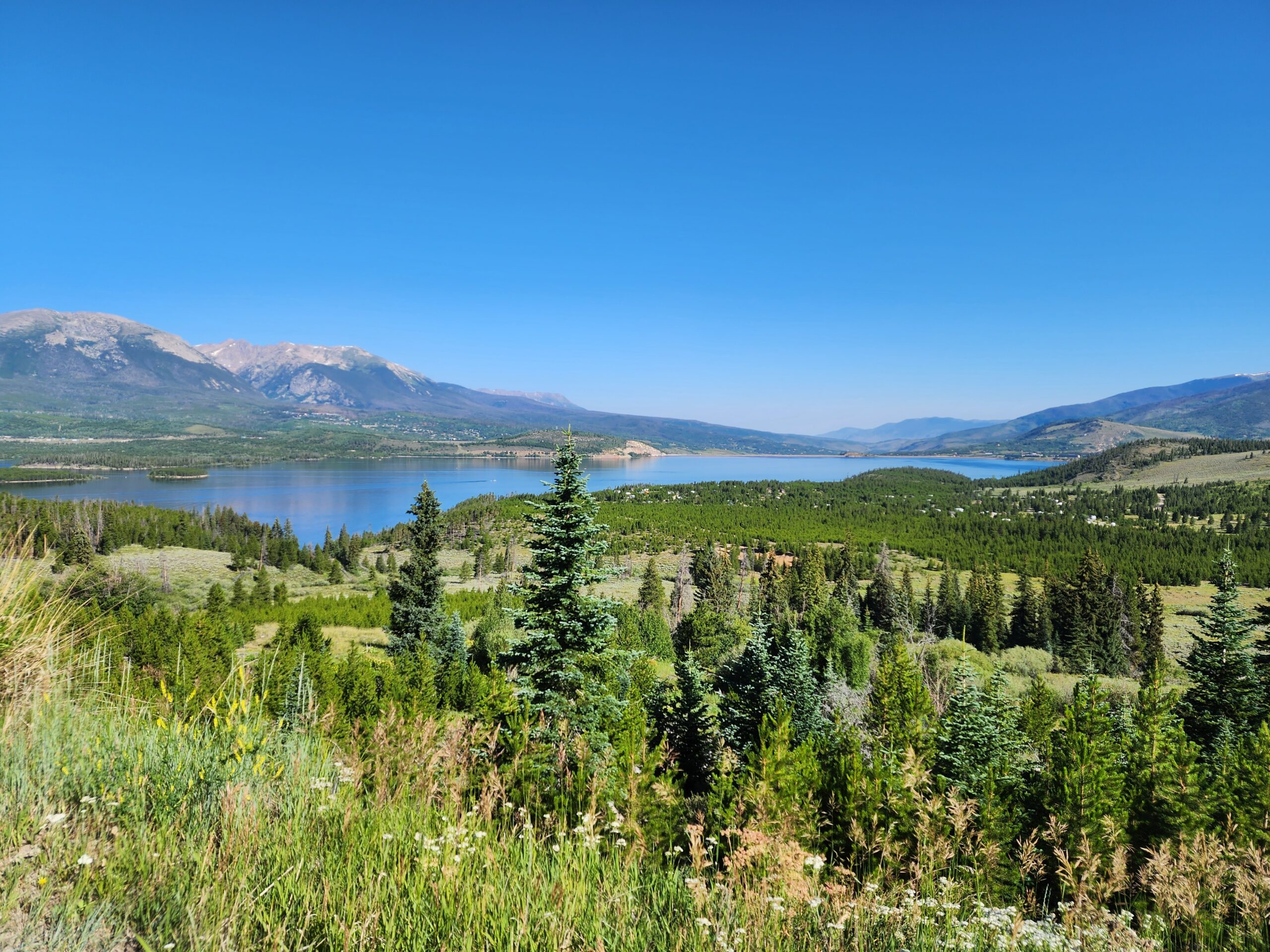 Frisco Was Fantastically Fun - Venus Bike Club